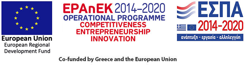 Presentation of INNOVEXPO at ICOM Kyoto 2019 – INNOVEXPO